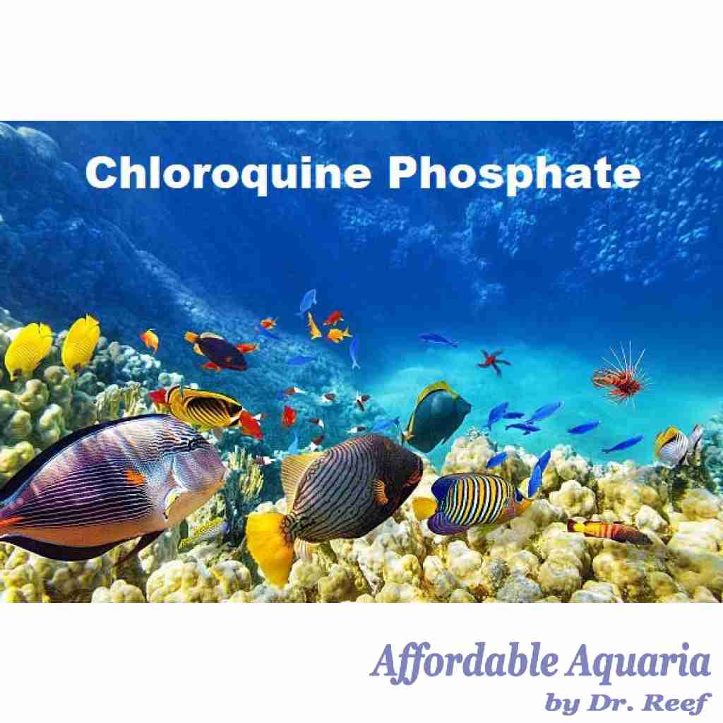 Chloroquine Phosphate | Affordable Aquaria