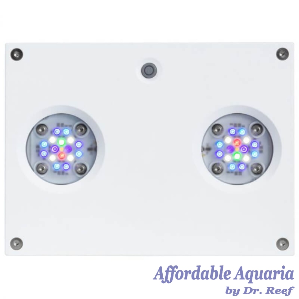 Hydra 32 HD LED Reef Light | Affordable Aquaria