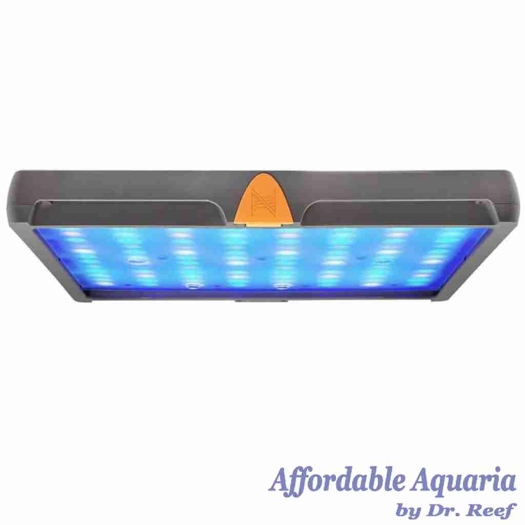 SKY LED Aquarium Light | Affordable Aquaria