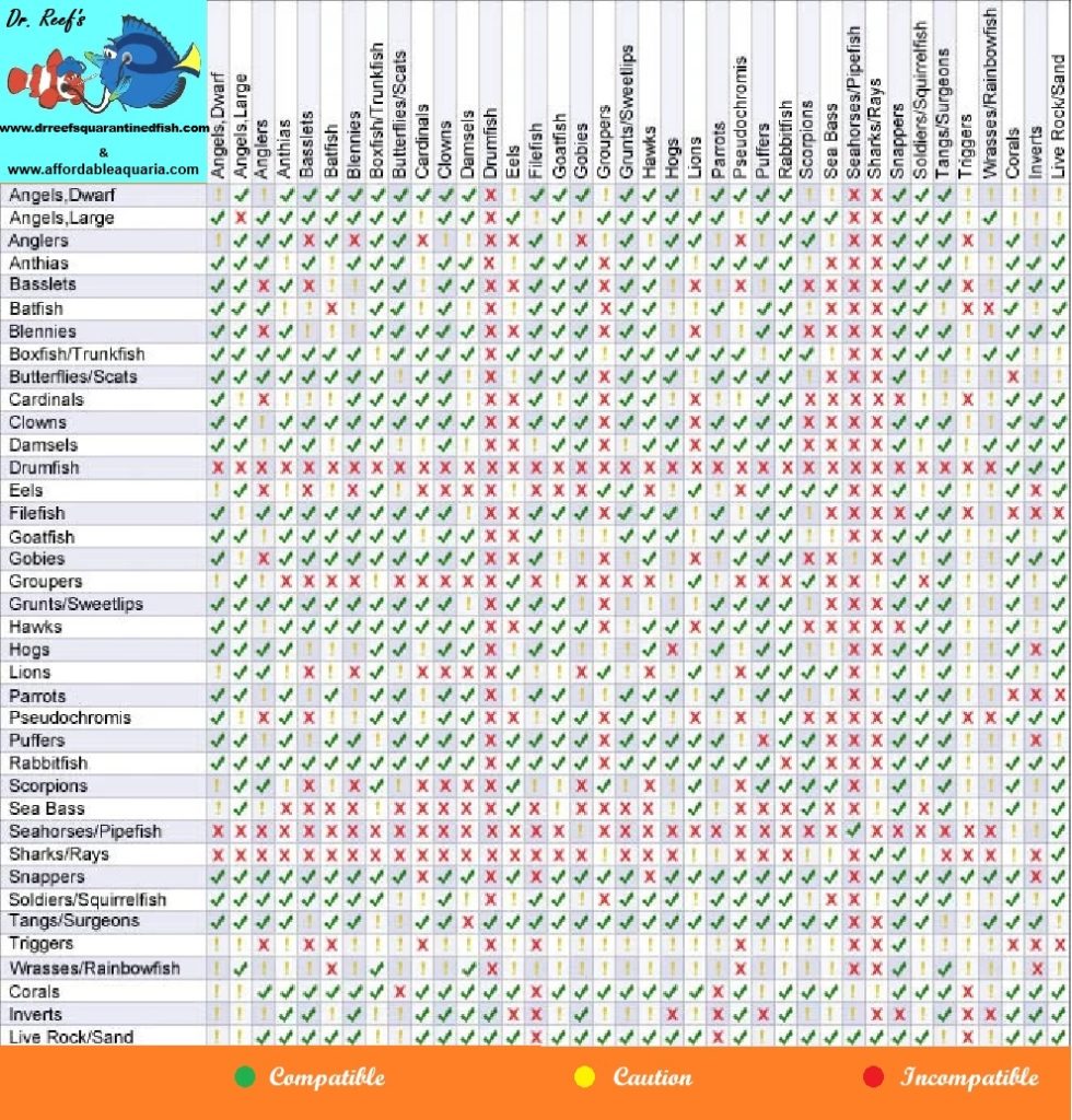 Compatibility Chart | Affordable Aquaria